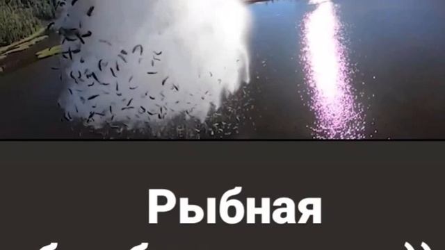 Доброе дело. Бомардировка мальком