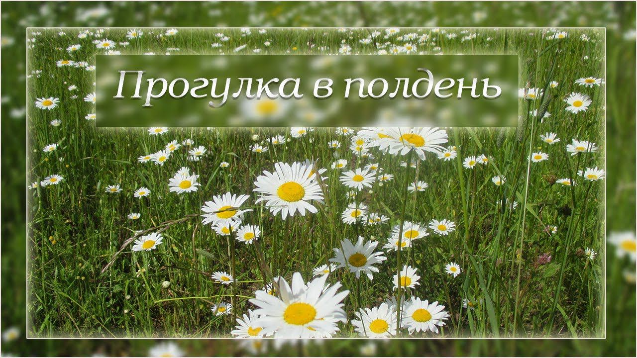 Прогулка в полдень