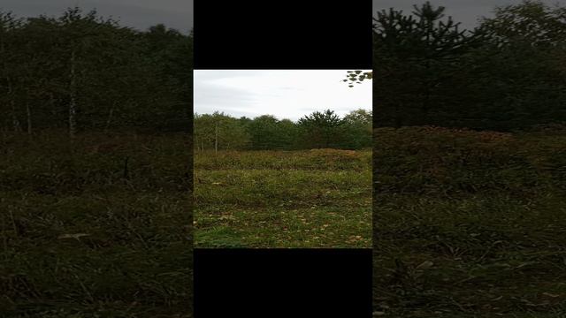 3 изба и окрестности