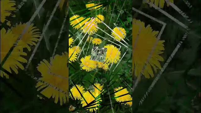 Доброго утра. Хорошего дня