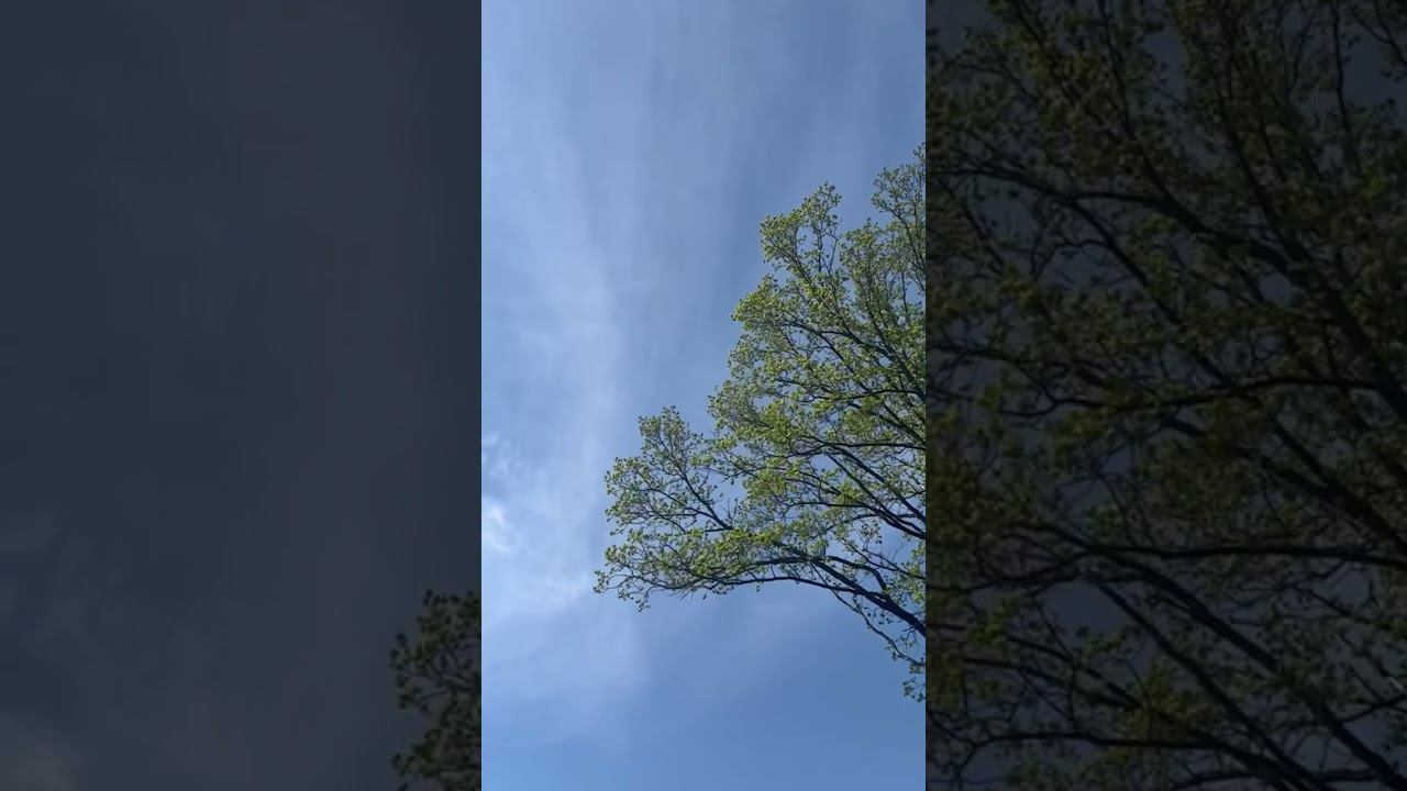 Целительная настройка-минутка