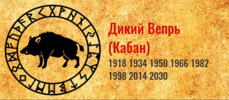 ТОТЕМ ДИКИЙ ВЕПРЬ (КАБАН) * ЕДИНЫЙ КРУГ