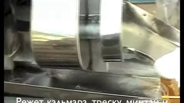 CH2S-400 продольная резка кальмара