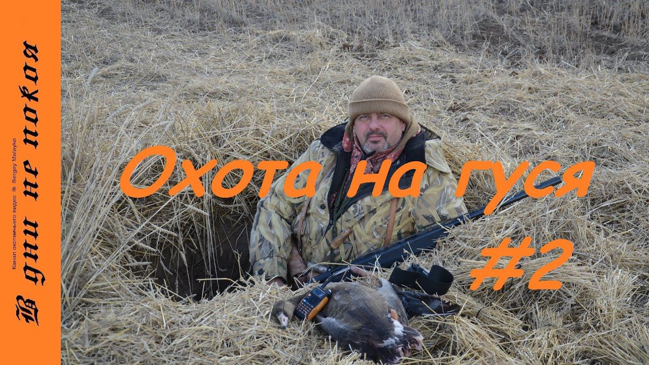 Охота на гуся. #2 18+