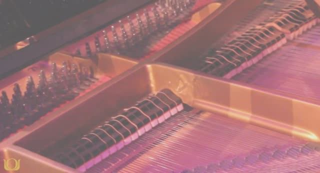 OPUS UNIVERSUM. Четвертый концерт.