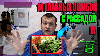 10 ГЛАВНЫХ ОШИБОК ПРИ ВЫРАЩИВАНИИ РАССАДЫ. САД (ОГОРОД) И ТЕПЛИЦА 21-2