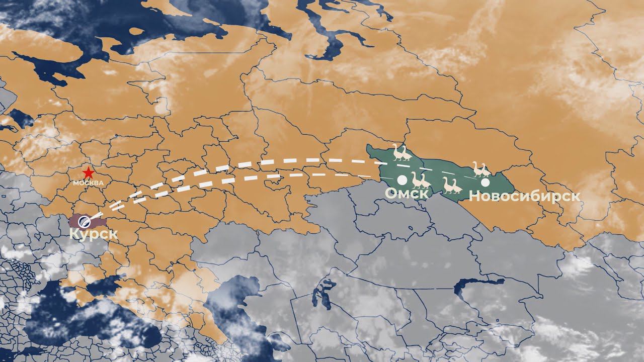 Корпоративный фильм компании БелПоль