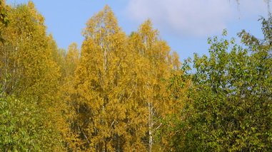 Красноярские Столбы. Осень.