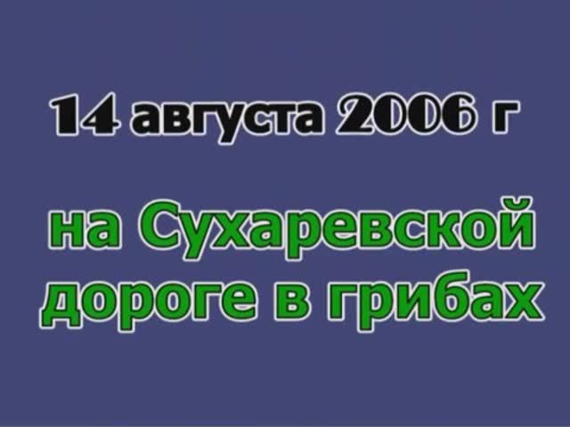 2006 08 14 на Сухаревской дороге в грибах с Грицынами.mp4