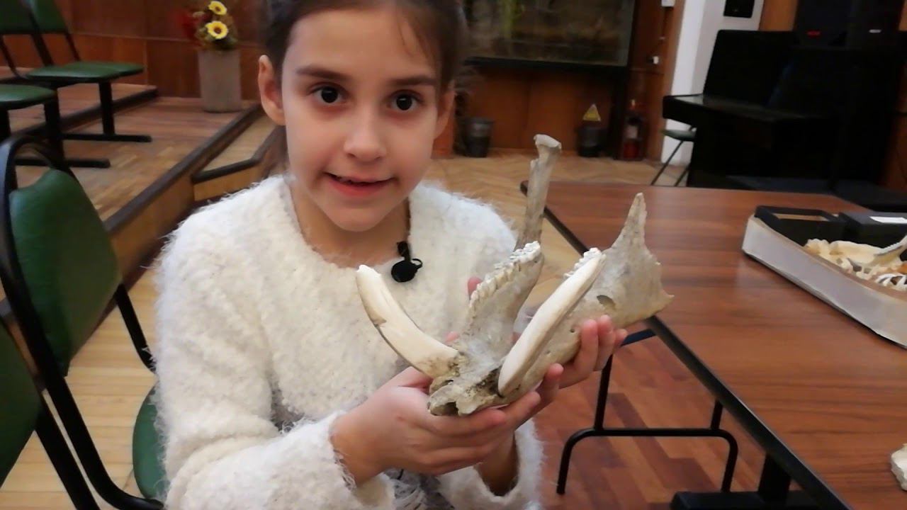 Скажи мне, что ты ешь и я скажу какой ты.