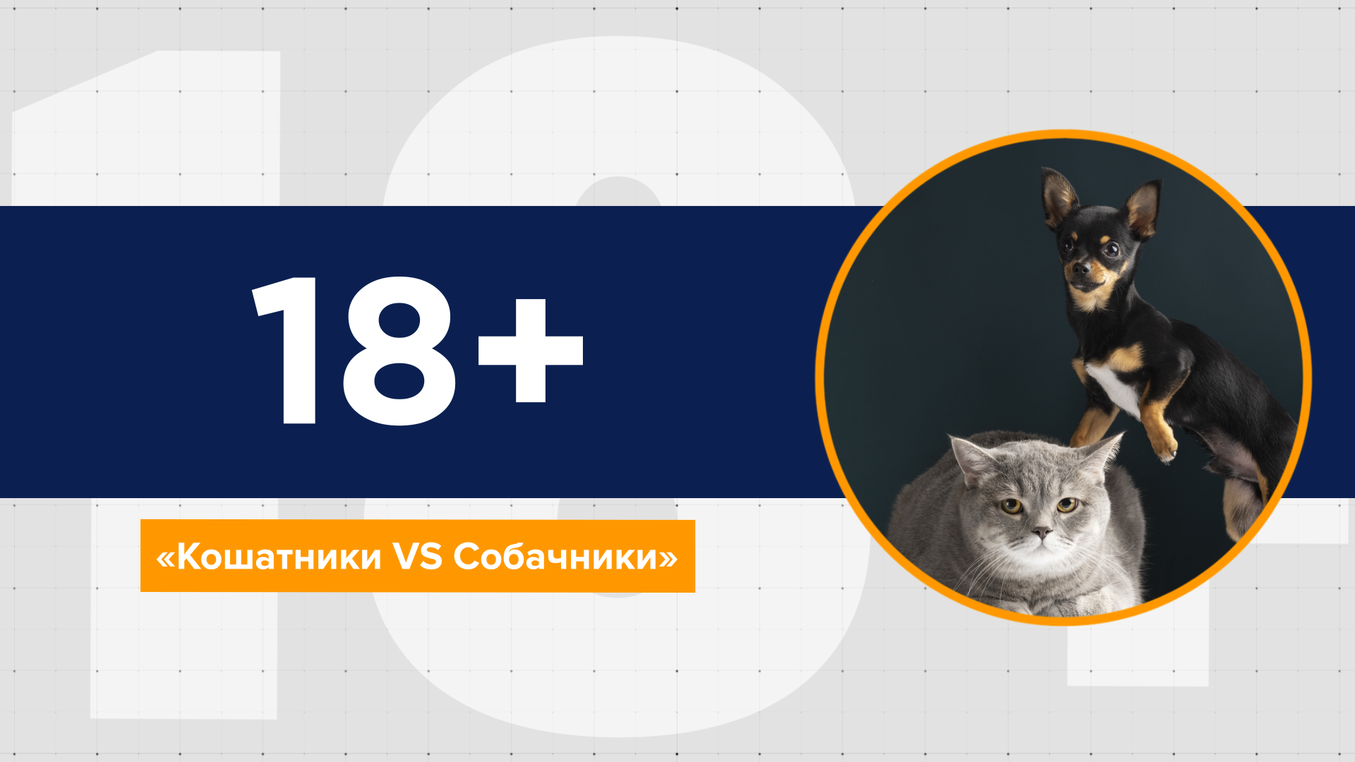Кошатники VS Собачники