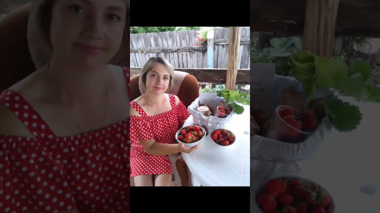 Клубники много не бывает!