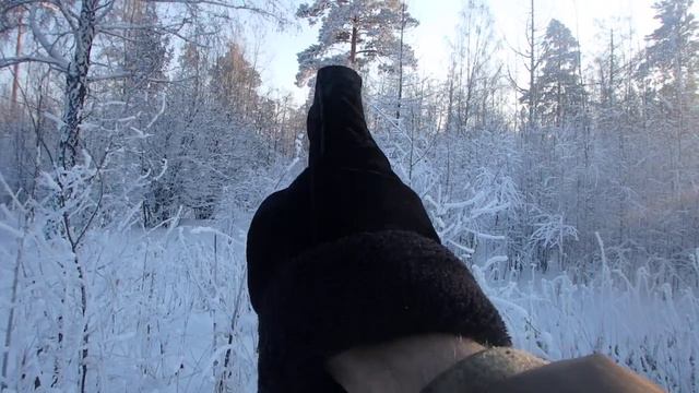 11-10 Ориентирование по косым кронам сосен