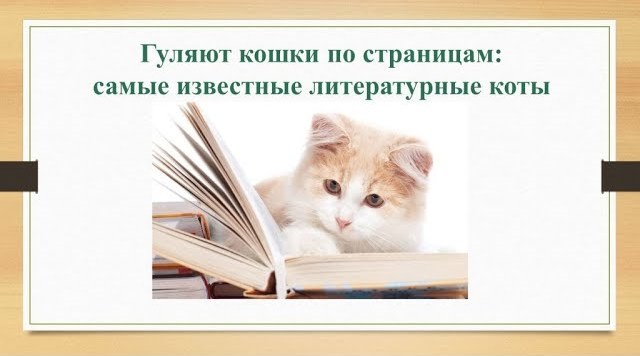 Гуляют кошки по страницам