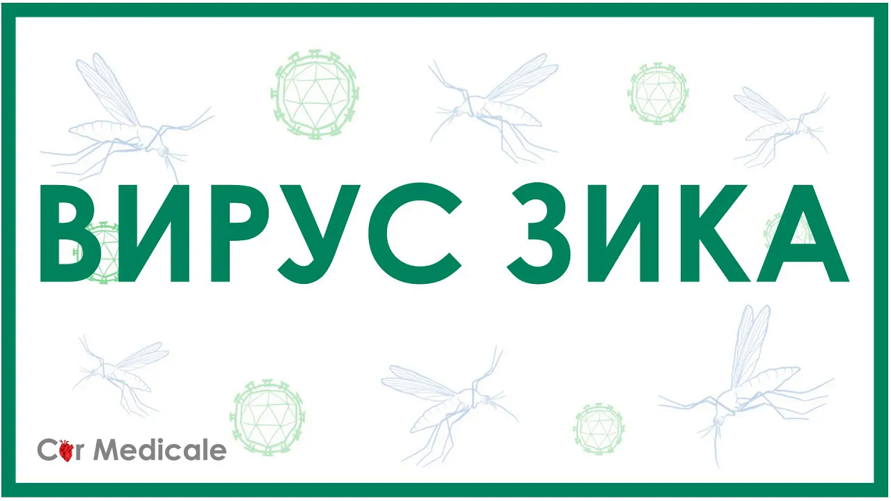 Вирус Зика