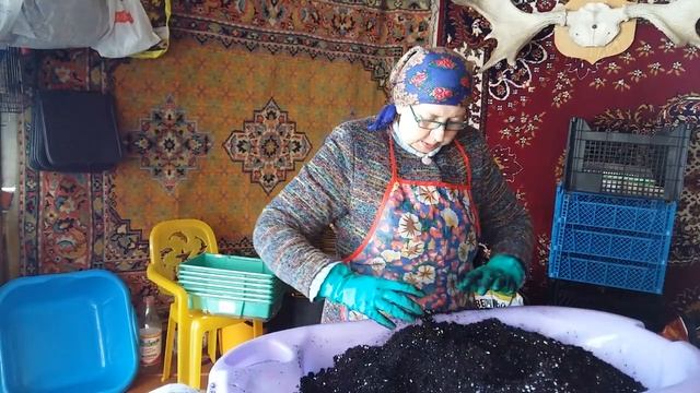 Почвогрунт для рассады. Готовлю  хороший грунт.