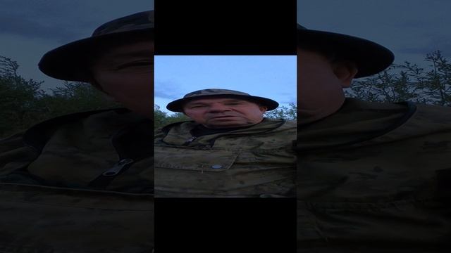 БЫЛЬ ОТ БАТИ ПРО ТЁЩЮ