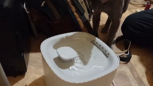 Карби, Шелли - знакомство с поилкой