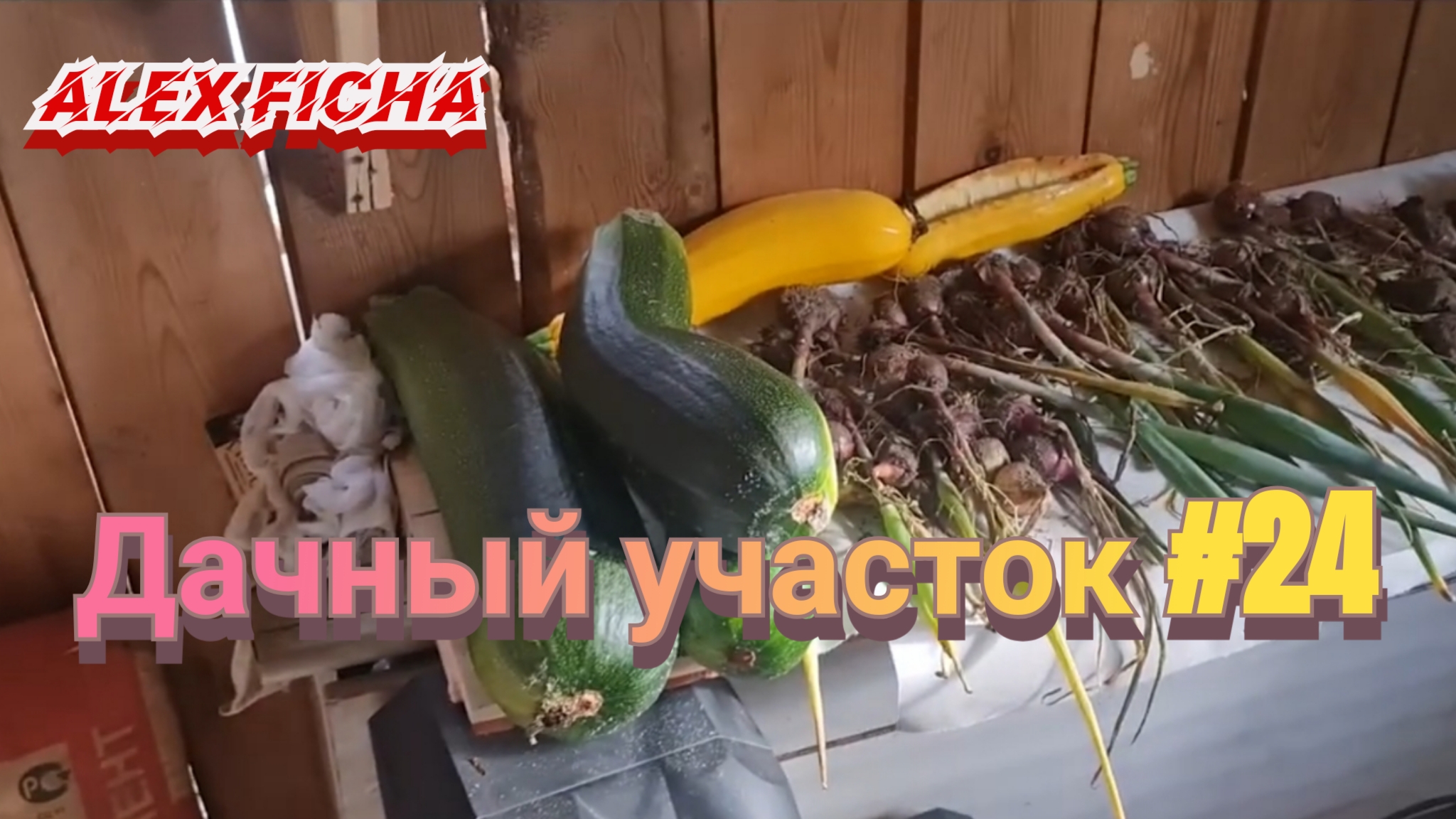 Дачный участок с нуля #24 Наш первый урожай.