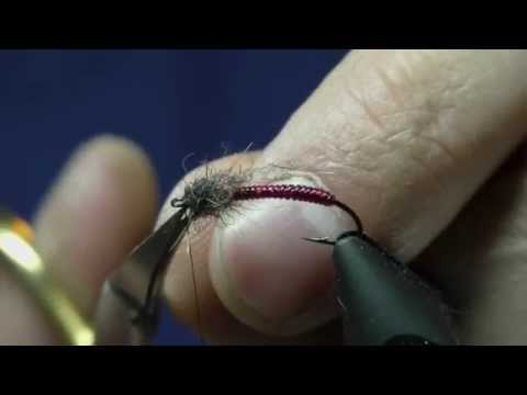 Нимфа комара Blood Worm.