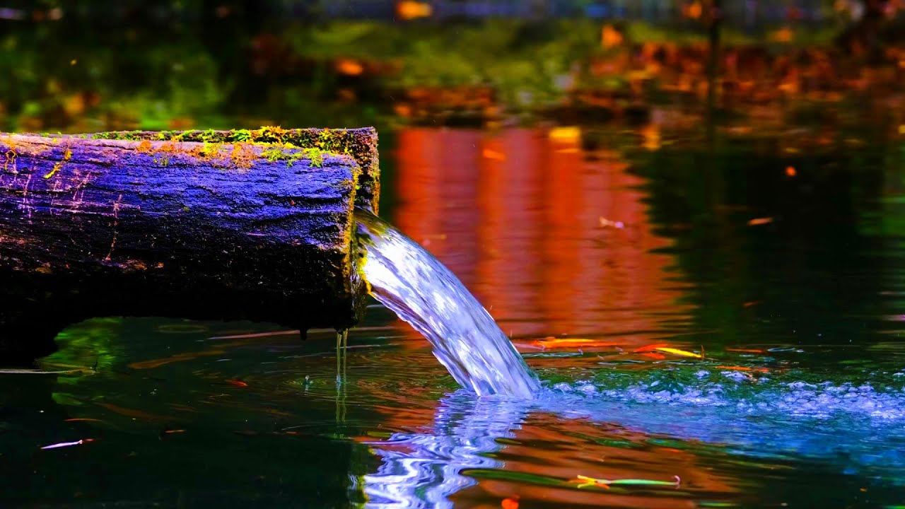 Звуки воды - Звук родника в лесу и пение птиц. Журчание воды пение птиц. Чистый горный родник.