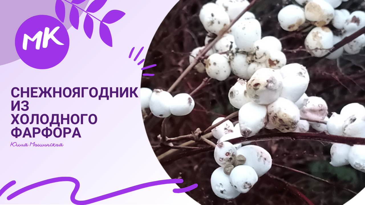 Мк Снежноягодник из холодного фарфора