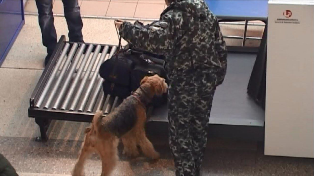 Наши новости 17.02.16 вечерний выпуск