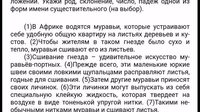 ВПР 4кл. Имя существительное.#детям