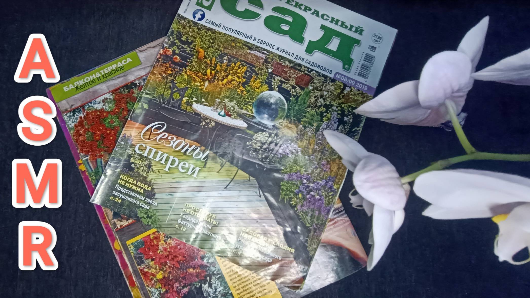 АСМР ✨чтение журнала / ASMR 💤 magazine reading / шепот