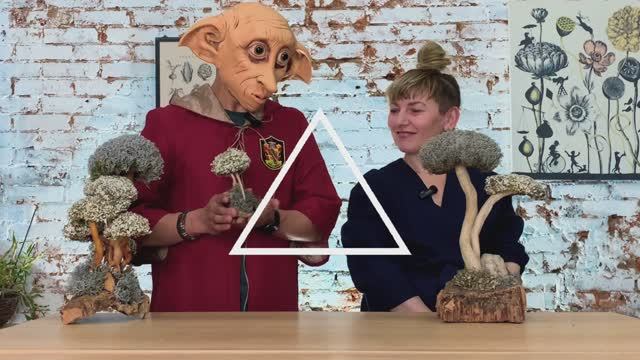 МЕНЕДЖЕРЫ СЧАСТЬЯ II