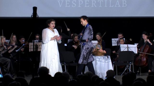 Оперетта "Летучая мышь". И. Штраус. Фрагмент.