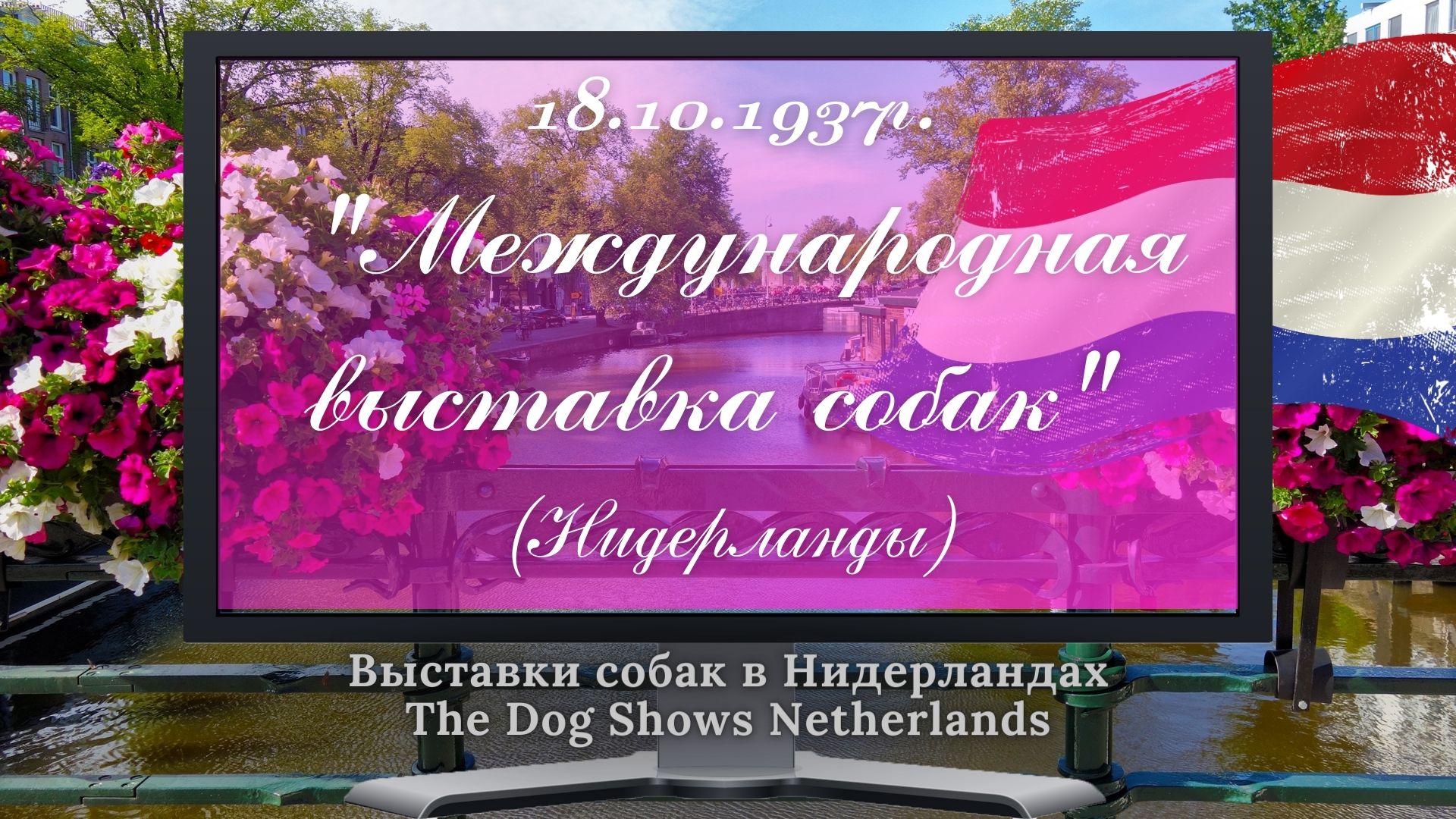 18.10.1937 Международная выставка собак  в Нидерландах.