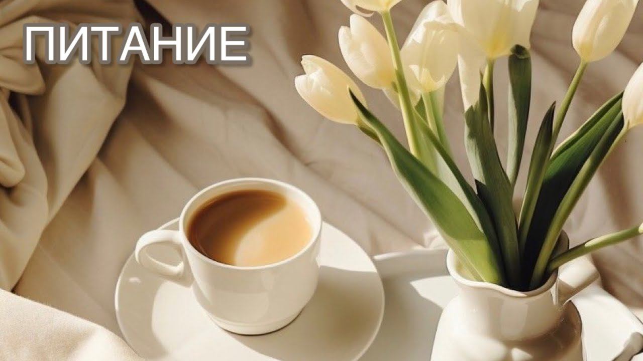 Питание. Корректное потребление пиши