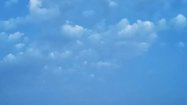 Воспоминания. Лето и рыбалка 2021