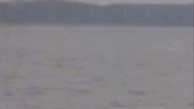 Вюнсдорф 90 - е. Осень / Озеро.