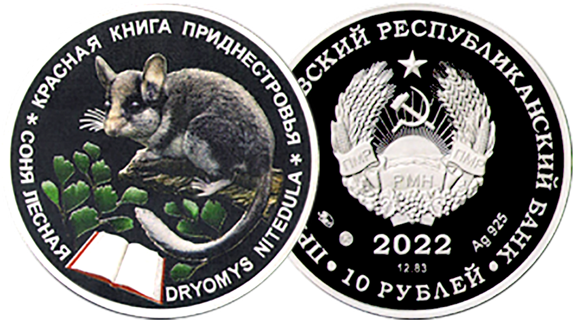 Новинки монет Приднестровья. 10 рублей Соня лесная.