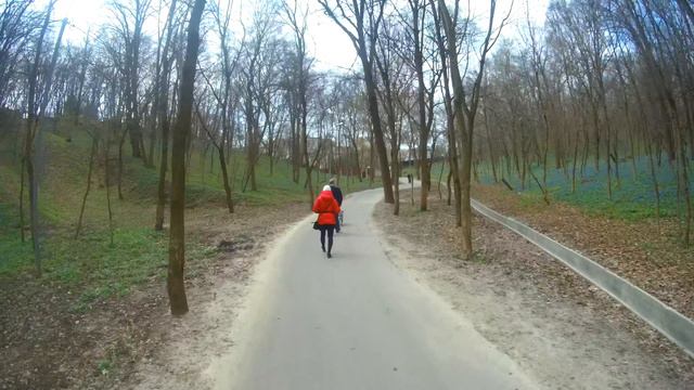 Велопокатушка №60. Ковёр из Пролесок