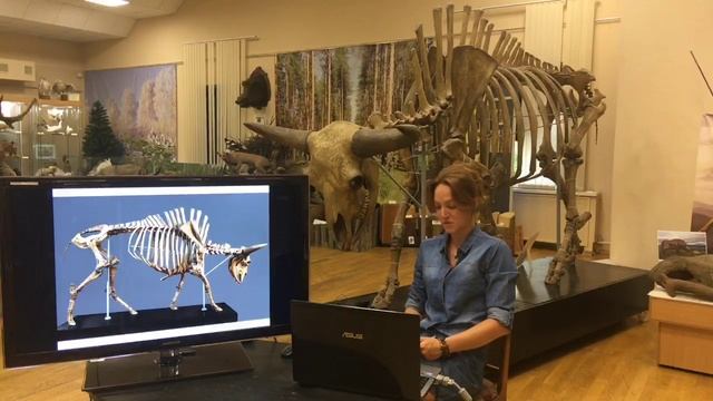 «15+5: 20 историй об экспонатах и людях». 5 серия «Грозный взгляд первобытного зубра»