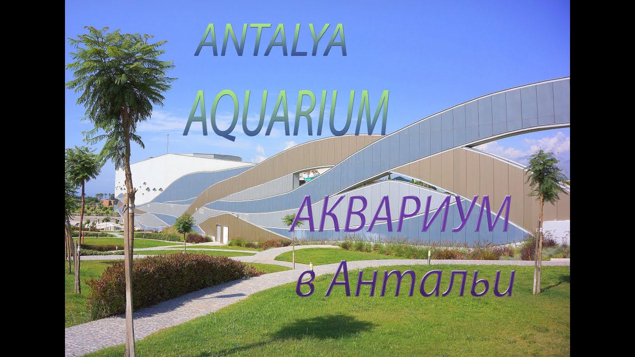 Аквариум в Антальи.