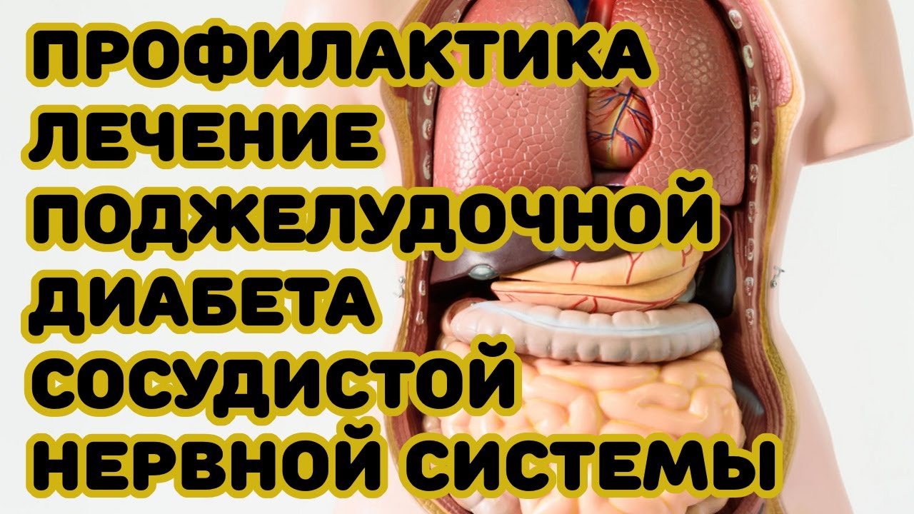 Для профилактики болезней поджелудочной железы, сахарного диабета, для укрепления сосудистой стенки
