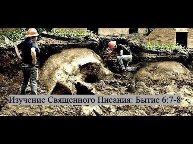 Изучение Священного Писания (Ветхий Завет): детальный разбор книги Бытия, глава 6, стихи 7 и 8.