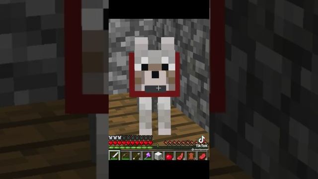 Хатико который ждал 5 лет когда я зайду в Майнкрафт?