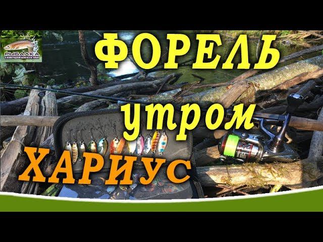 Рыбалка на форель и хариус. Рыбалка в Ленинградской области. АВГУСТ 2019.