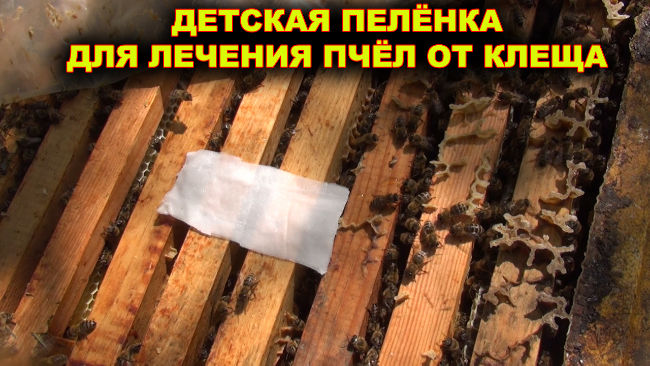 Детская пелёнка для лечения пчёл от клеща.