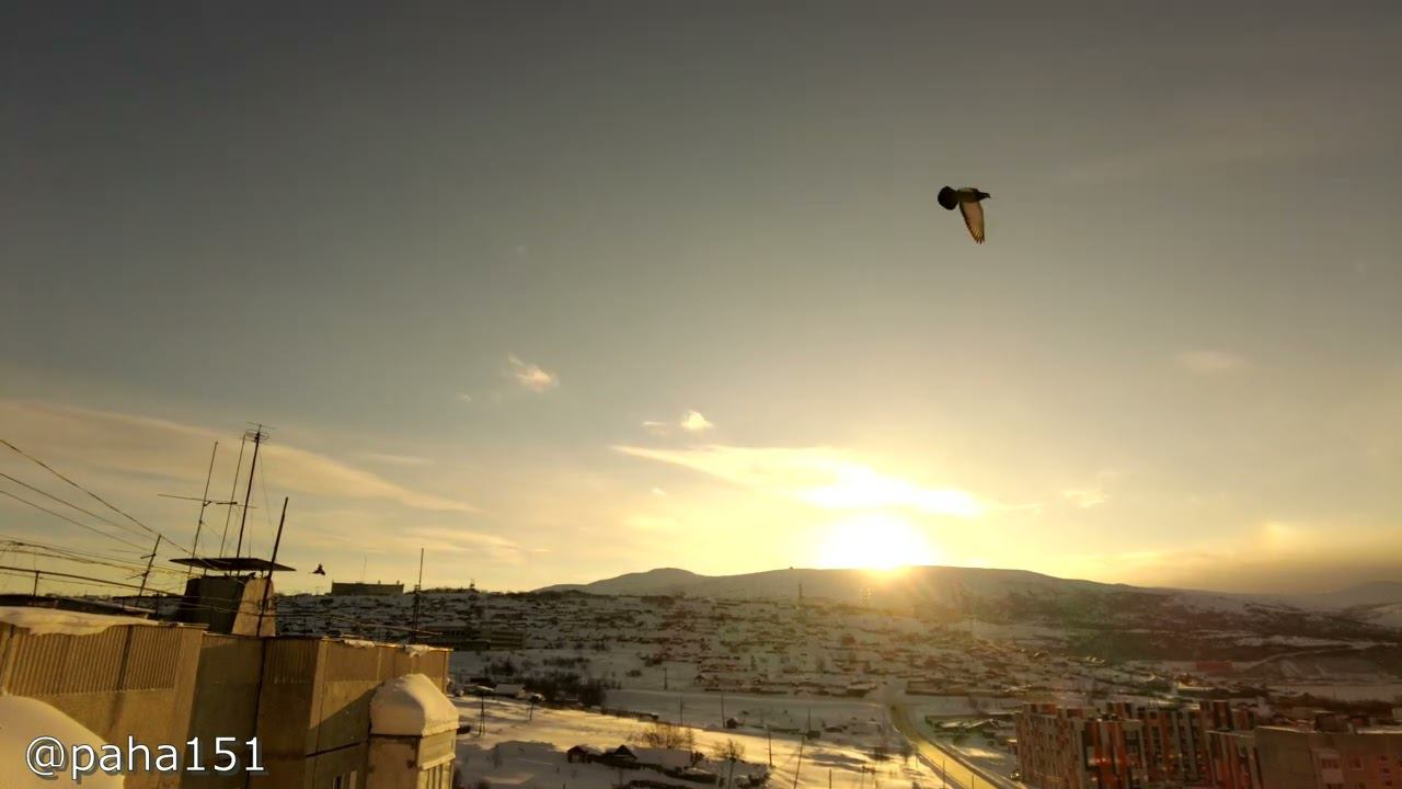 ВОСХОД-ЗАКАТ #магадан #нагаево #timelapse #pocket2