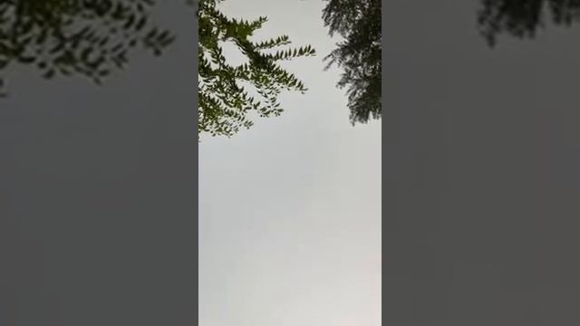 Врата перехода 28.07 - 12.08, врата льва. МЕДИТАЦИЯ