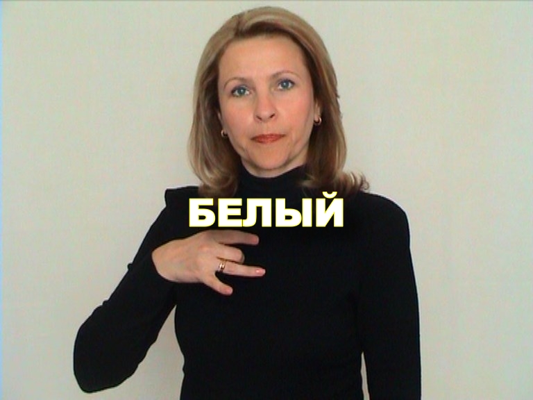 ЖЕСТОВЫЙ ЯЗЫК. СЛОВАРЬ. Белый
