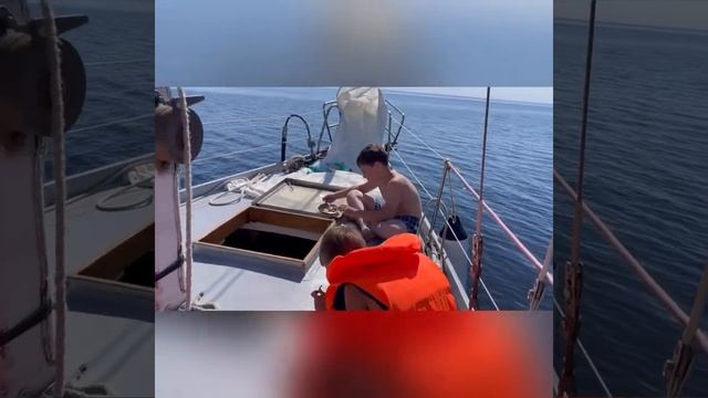 Лето по парусами в Сосновом Бору (полная версия)