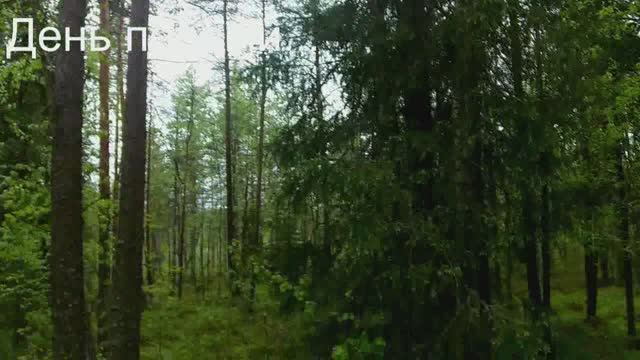 Идём в лесную избу и на озёра...( Дочку взял в первый раз)...