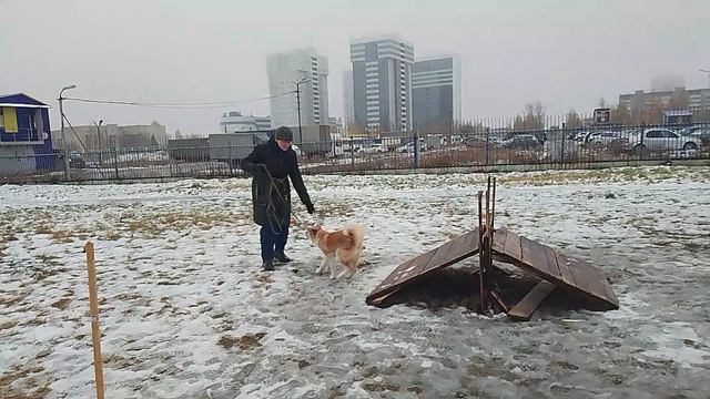 Марта возраст 4 месяца
Набережные Челны
29.10.23 воскресенье_12 часов 25 минут